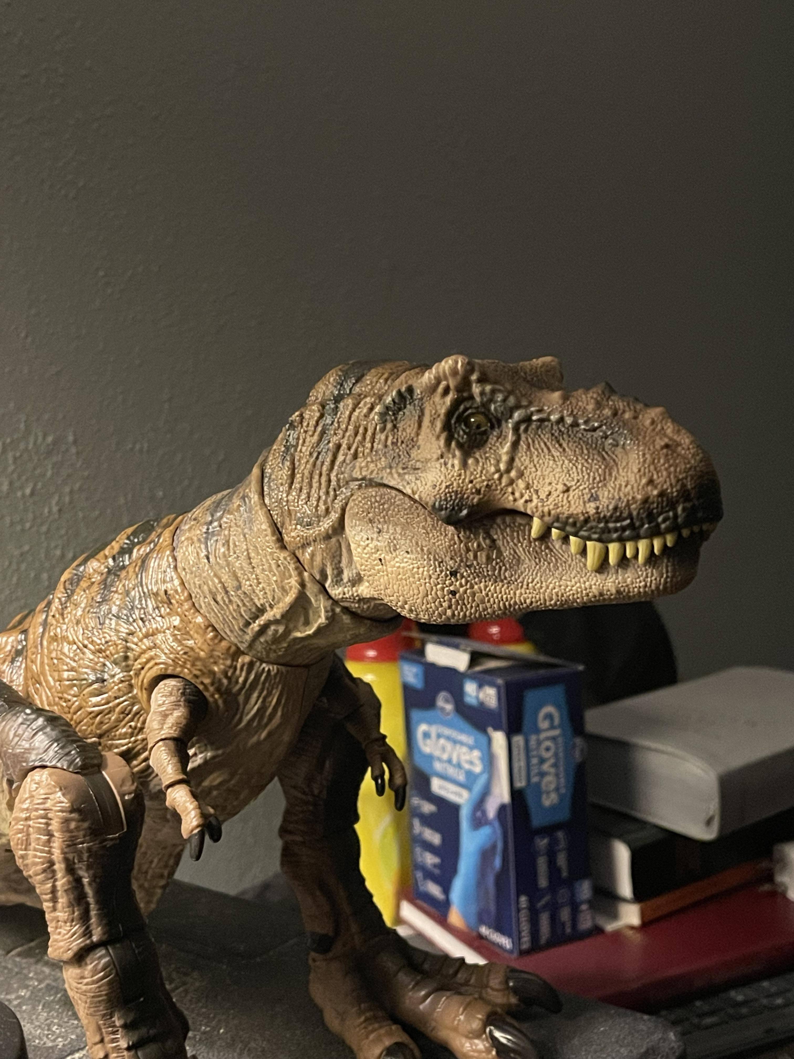 Best Buy: Jurassic World Hammond Collection T-Rex Action Figure HFG66
