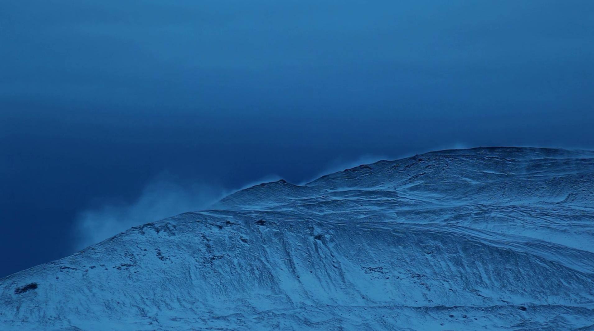 Best Buy: Antarctica: A Year on Ice [Blu-ray] [2013]