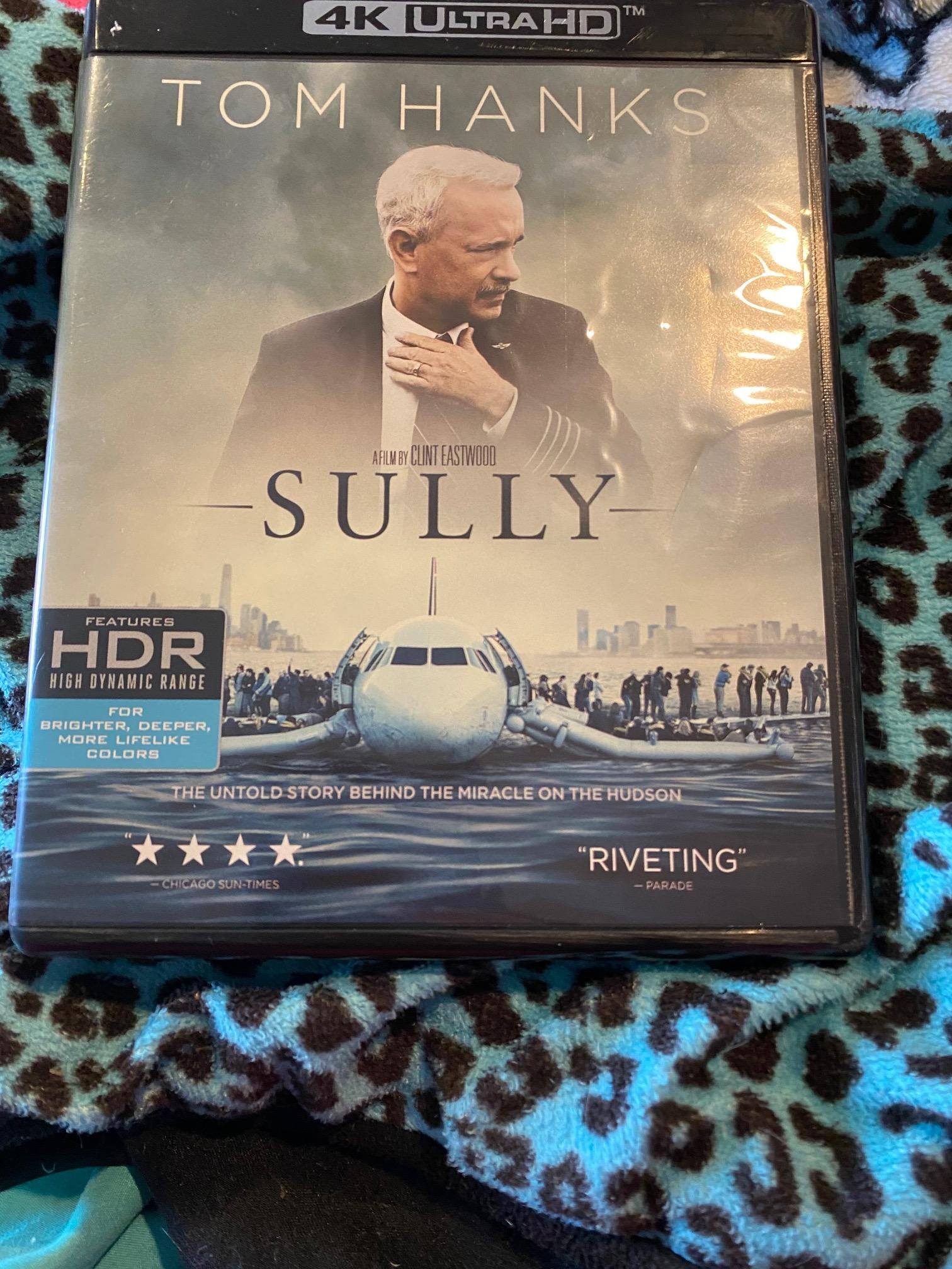 Best Buy: Sully [DVD] [2016]