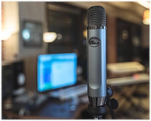 Blue Microphones Ember Xlr Wired Cardioid Condenser Microphone - Gray ...