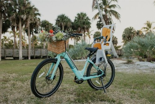 Aventon Pace 350/500.2 Rear Rack - Large - Black International Shipping